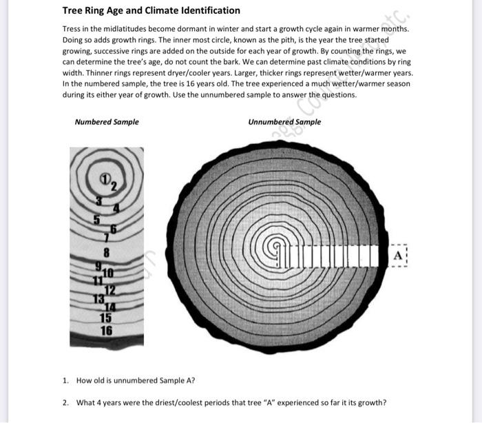 Solved Petc Tree Ring Age and Climate Identification Tress | Chegg.com