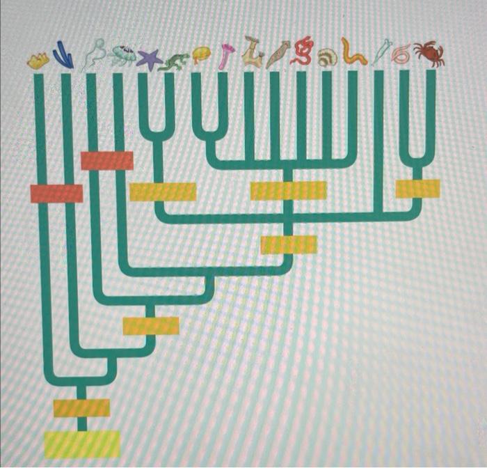 Solved Please explain agreements and disagreements of these | Chegg.com