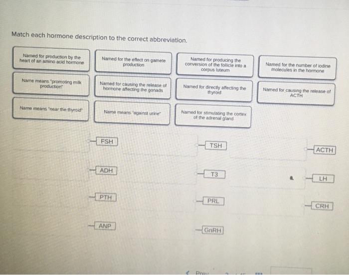 Solved Concepts Saved Match each label to the correct target | Chegg.com