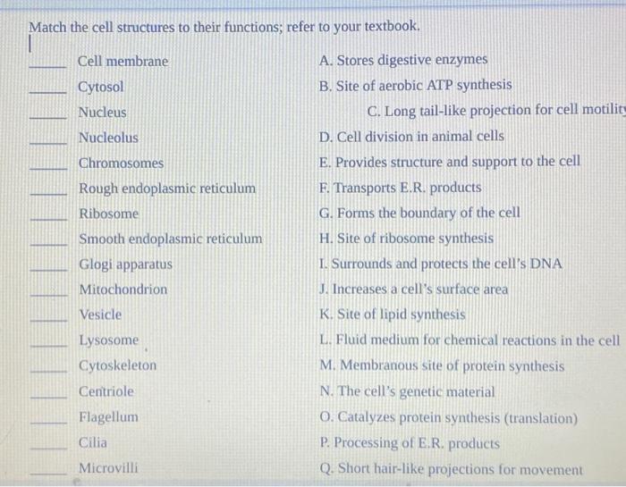 Solved Match the cell structures to their functions; refer | Chegg.com