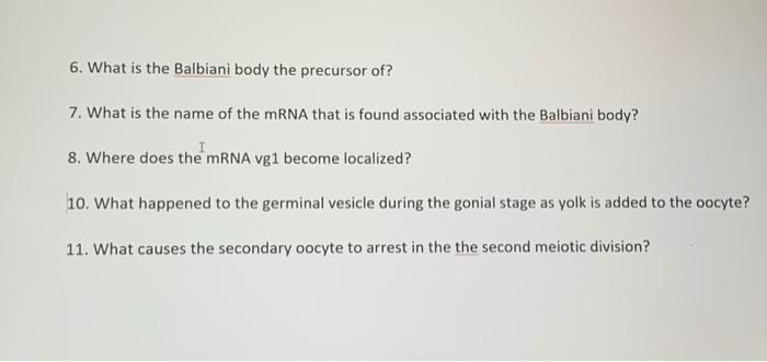 Solved 6. What is the Balbiani body the precursor of? 7. | Chegg.com