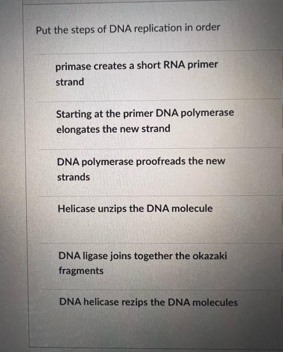 Solved Put the steps of DNA replication in order primase | Chegg.com