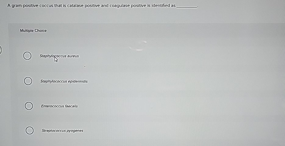 Solved A gram-positive coccus that is catalase positive and | Chegg.com