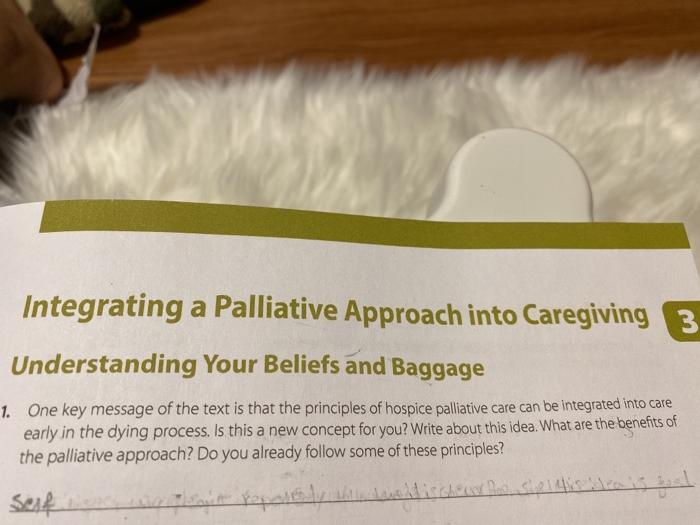 Solved Integrating a Palliative Approach into Caregiving 3 | Chegg.com