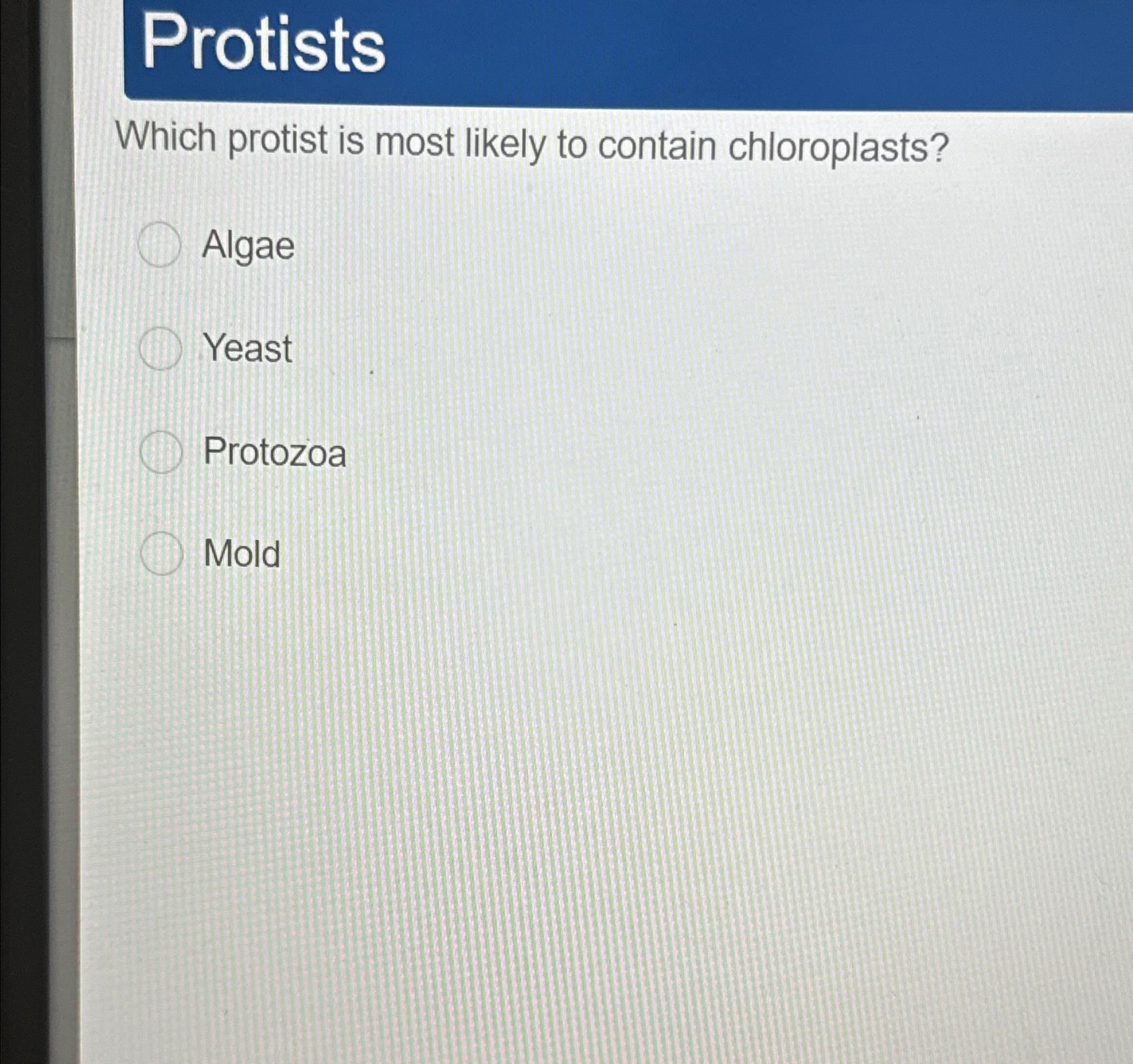 Solved ProtistsWhich protist is most likely to contain | Chegg.com