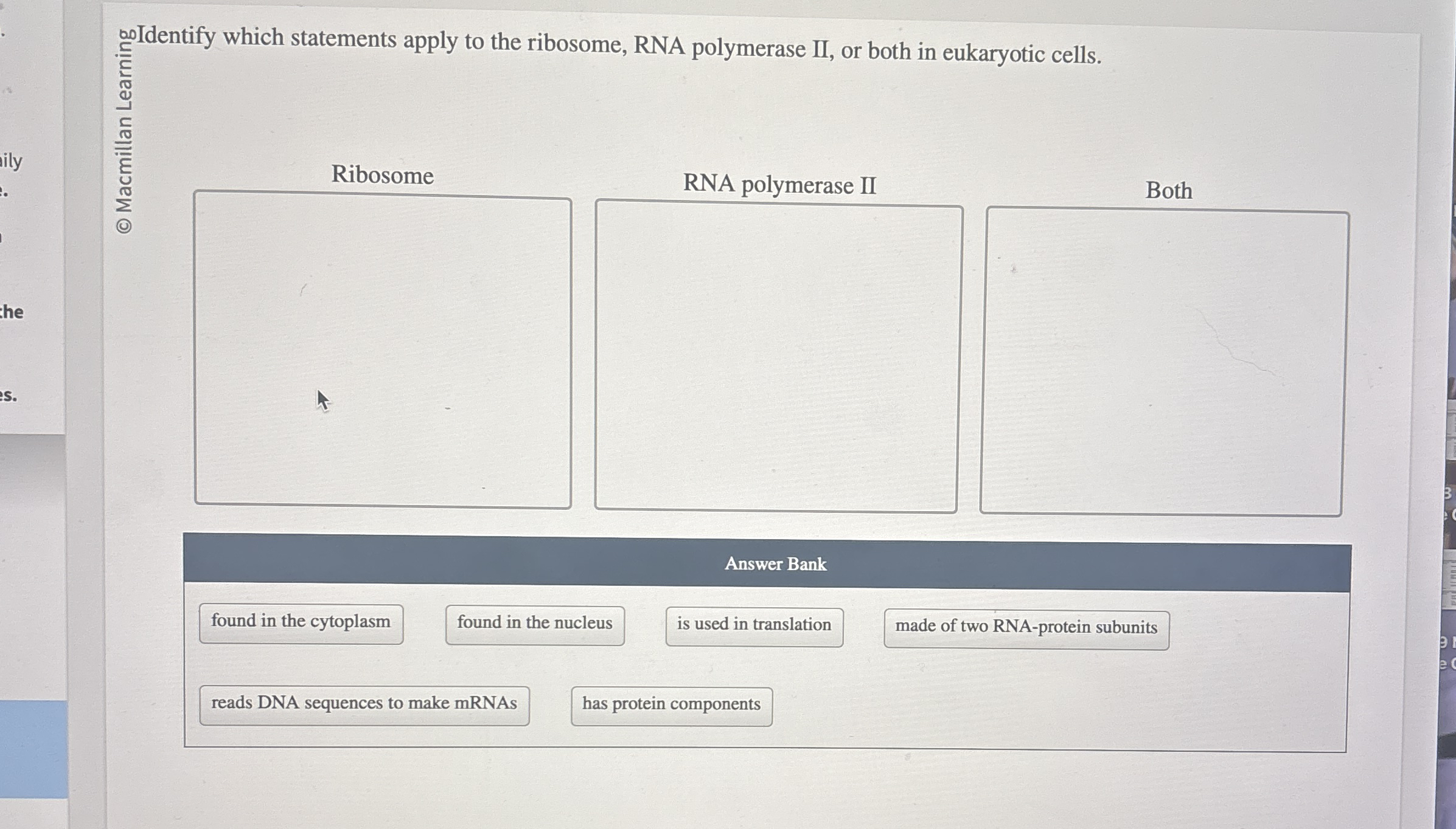 Solved ooIdentify which statements apply to the ribosome, | Chegg.com