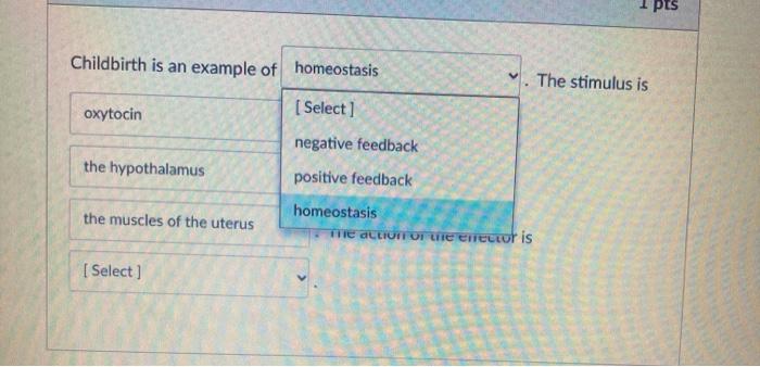 Solved 1 pts Childbirth is an example of homeostasis The | Chegg.com