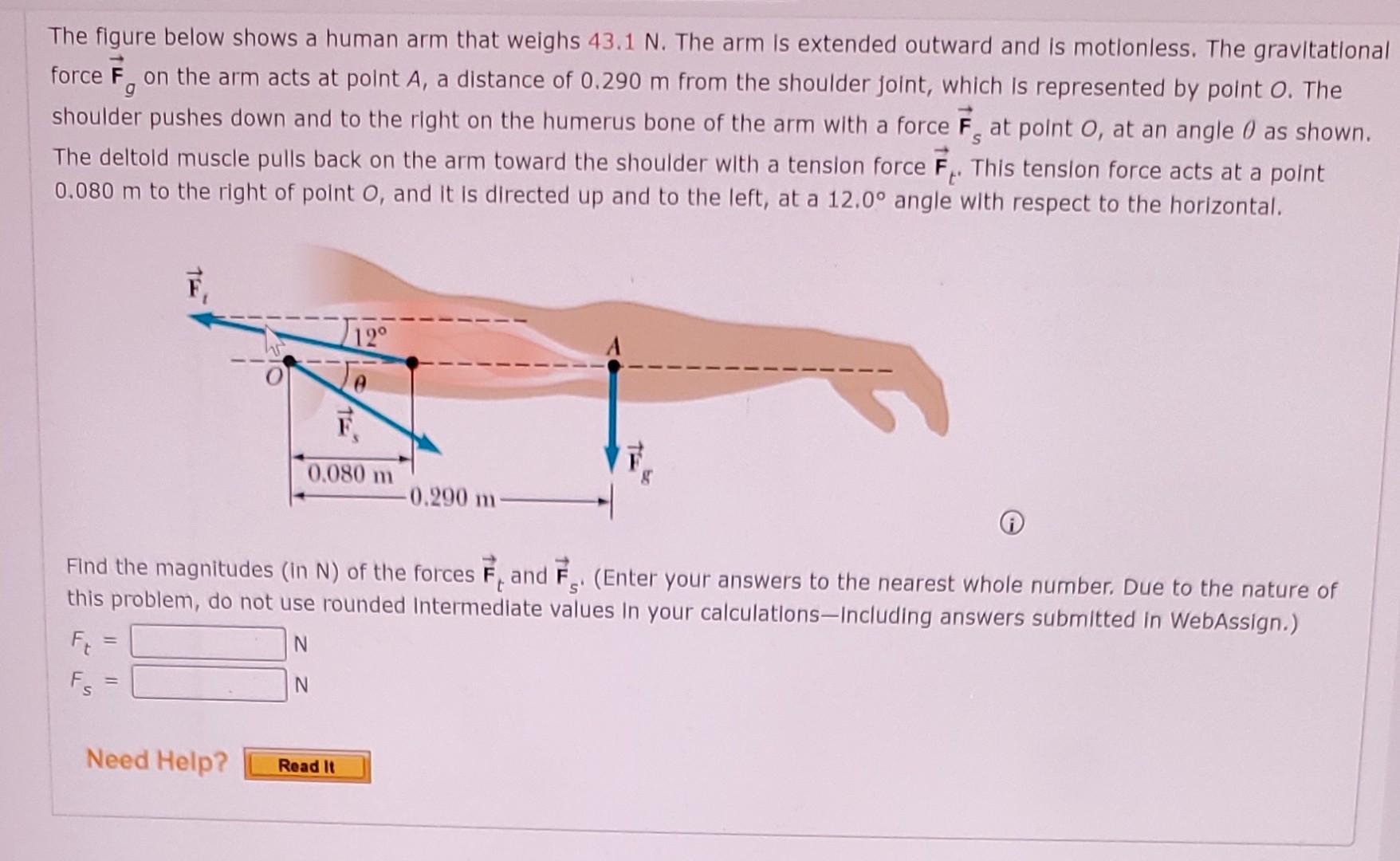 Solved The figure below shows a human arm that weighs 43.1 | Chegg.com