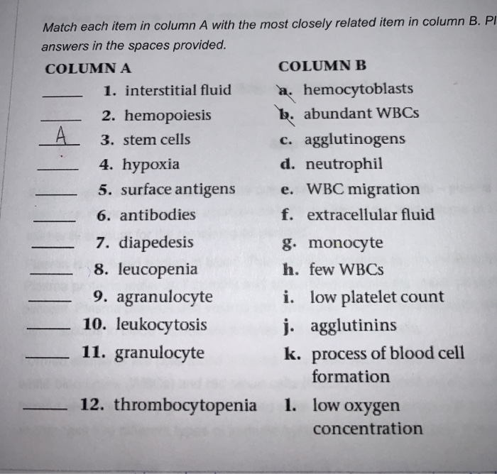 Solved Match each item in column A with the most closely | Chegg.com