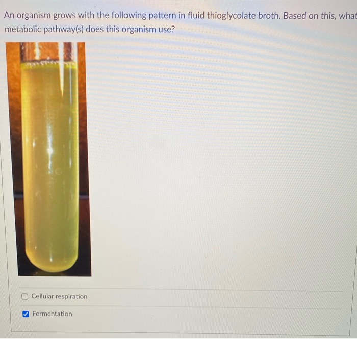 Solved An organism grows with the following pattern in fluid | Chegg.com