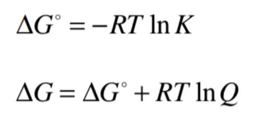 Solved What does each of the compenents in the equations | Chegg.com