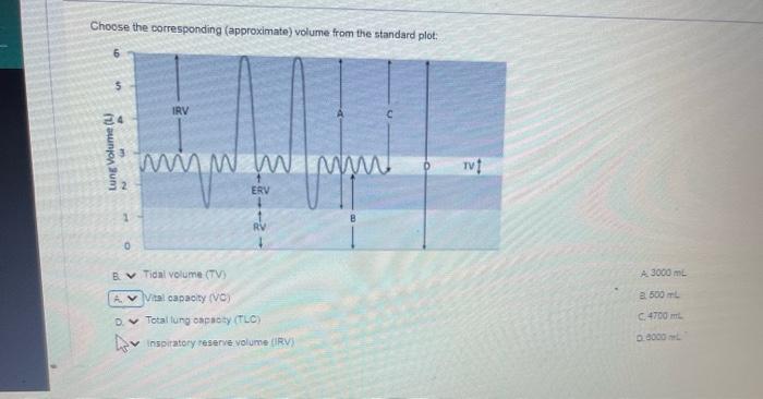 Solved Choose the corresponding (approximate) volume from | Chegg.com