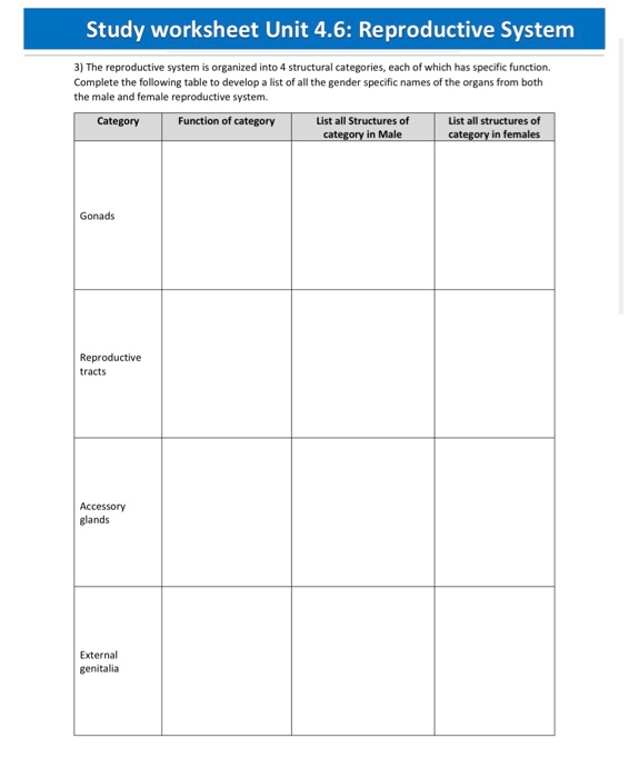 Study worksheet Unit 4.6: Reproductive System 3) The | Chegg.com