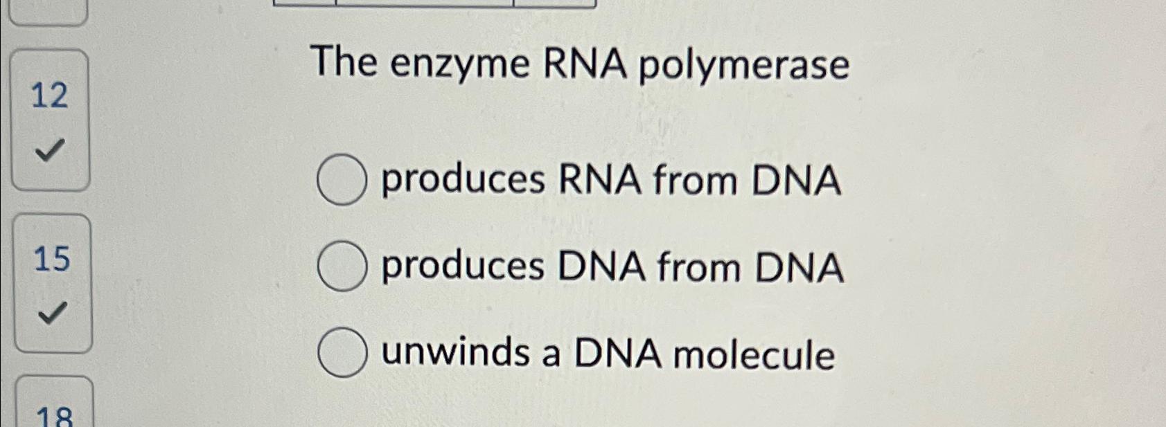 Solved The enzyme RNA polymeraseproduces RNA from DNA | Chegg.com
