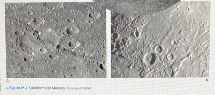 Activity 21.3 continued 4. The arrows on Figure 21.7C | Chegg.com