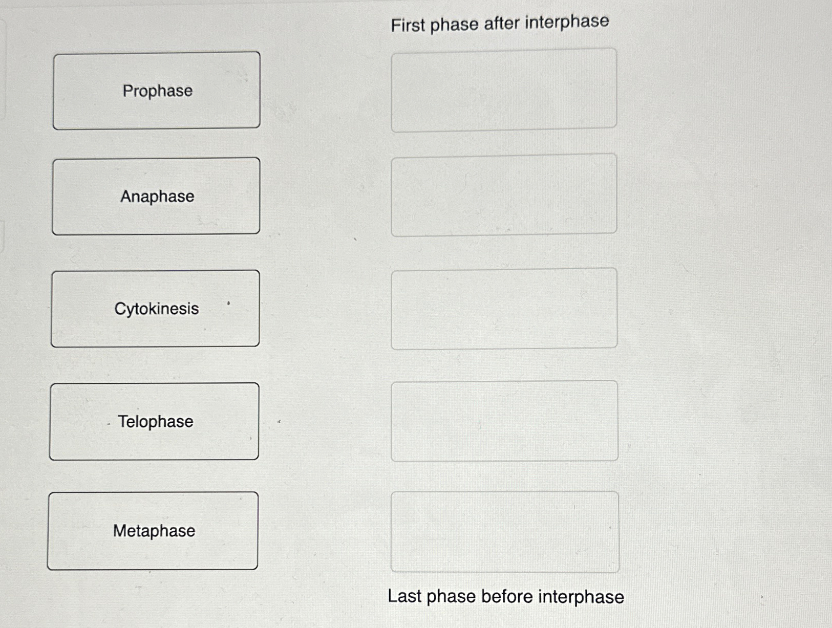 Solved First phase after interphaseLast phase before | Chegg.com