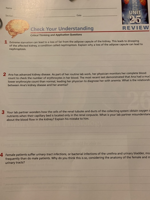 Solved Name Section Date UNIT 25 REVIEW Check Your | Chegg.com