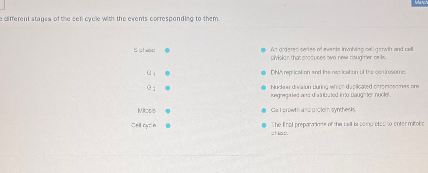 Solved different stages of the cell cycle with the events | Chegg.com