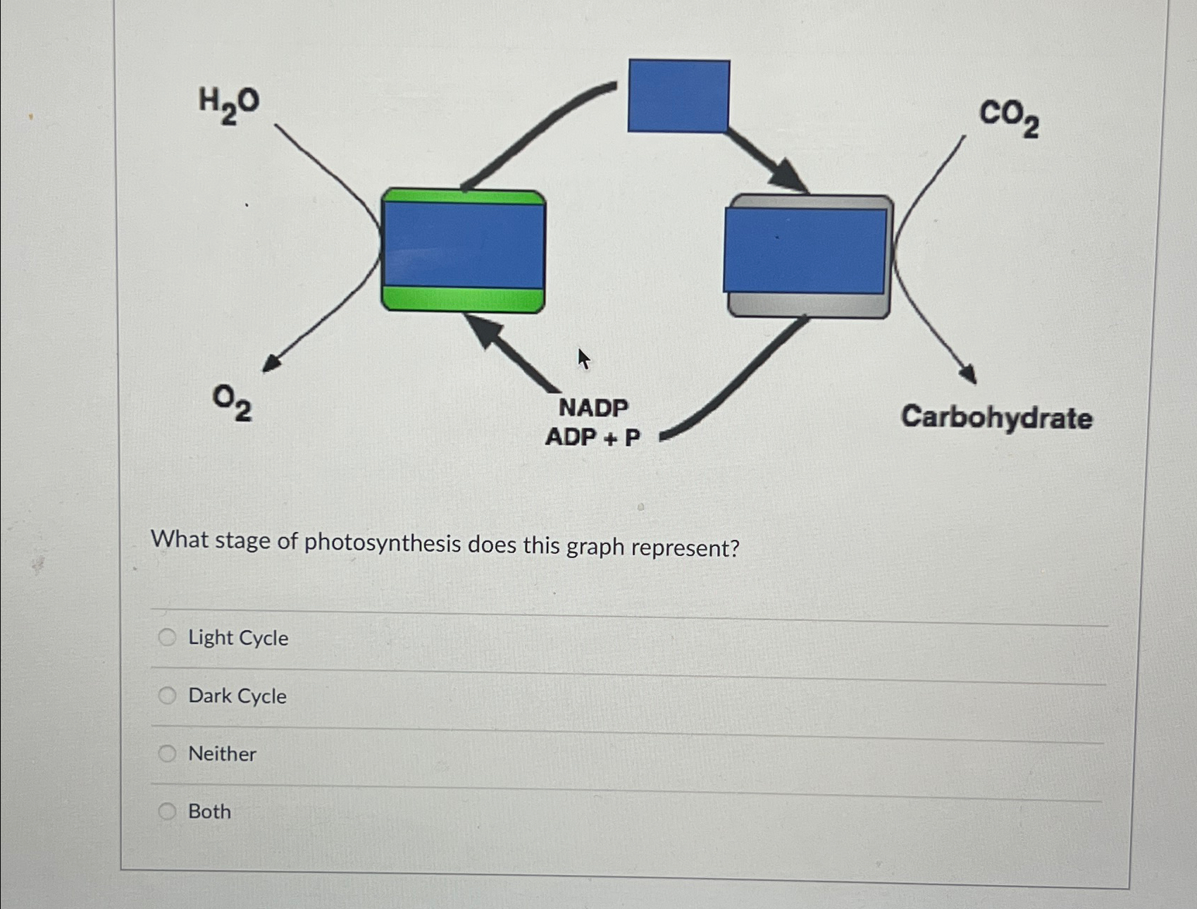 Solved What stage of photosynthesis does this graph | Chegg.com