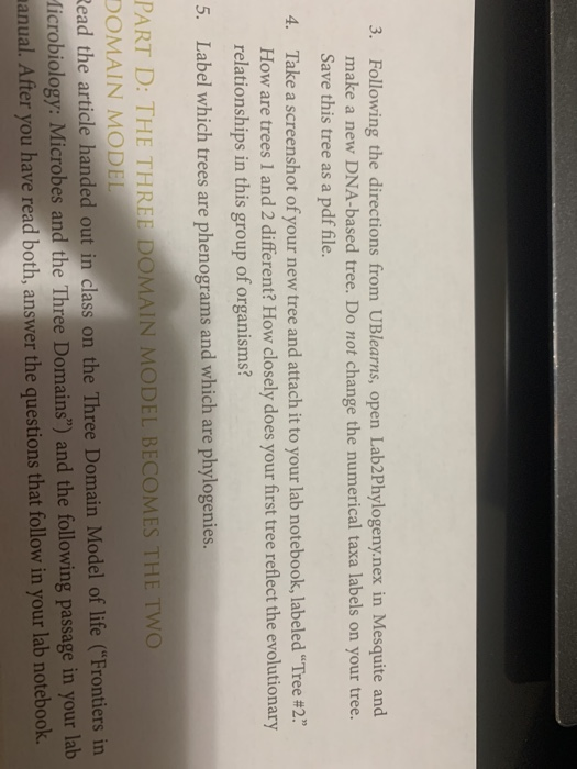 - Your pe X MInbox (171) - m X Content X Labflow - | Chegg.com