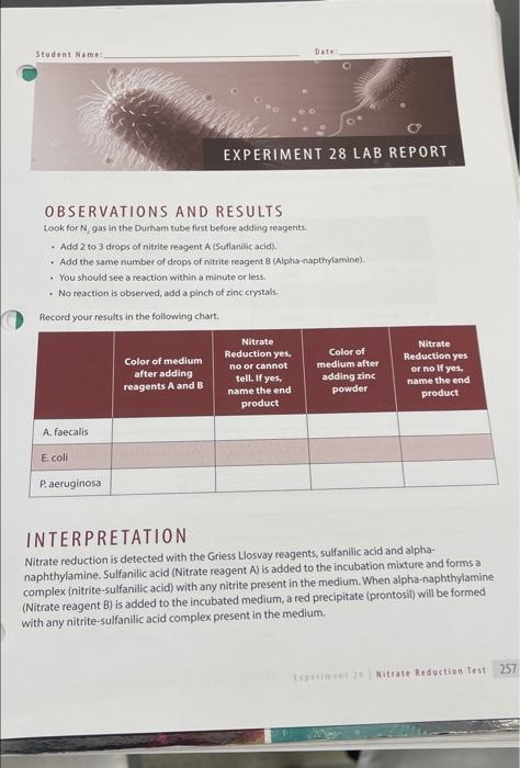 Solved Student Name: Date EXPERIMENT 28 LAB REPORT | Chegg.com