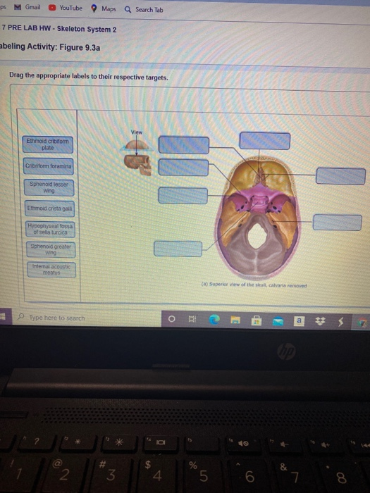 Solved ps M Gmail YouTube Maps Search Tab 7 PRE LAB HW - | Chegg.com