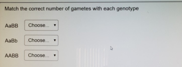 Solved Match the correct number of gametes with each | Chegg.com