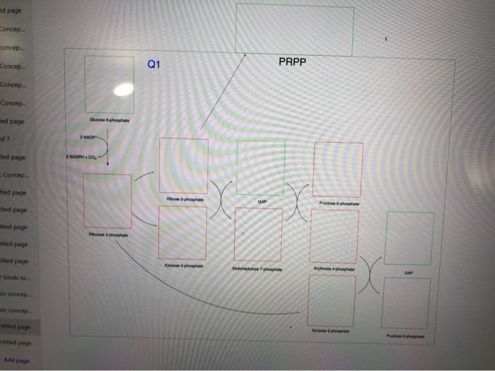 Solved Fill in boxes labelled Q1 on worksheets 1 and 3 with | Chegg.com Solved Fill in boxes labelled Q1 on worksheets 1 and 3 with | Chegg.com