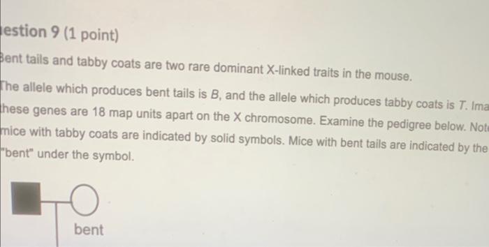 Solved estion 9 (1 point) Sent tails and tabby coats are two | Chegg.com Solved estion 9 (1 point) Sent tails and tabby coats are two | Chegg.com