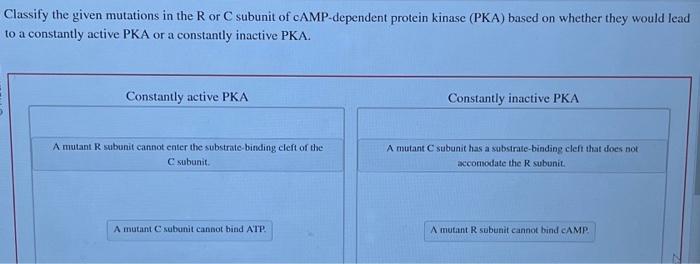 Solved Classify the given mutations in the R or C subunit of | Chegg.com