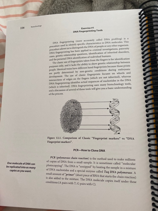 Solved 226 Exercise #1 DNA Fingerprinting Tools DNA | Chegg.com
