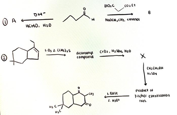 Solved EtOzc CO2 Et B OH w O A NOOCH2CH3. ethanol HCHO. H20 | Chegg.com