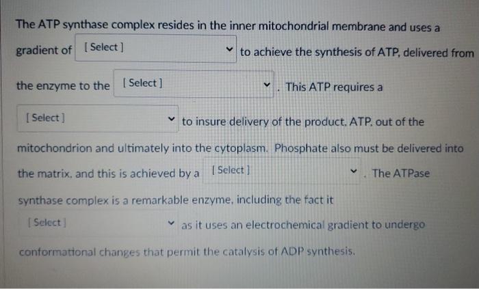 Solved The ATP synthase complex resides in the inner | Chegg.com