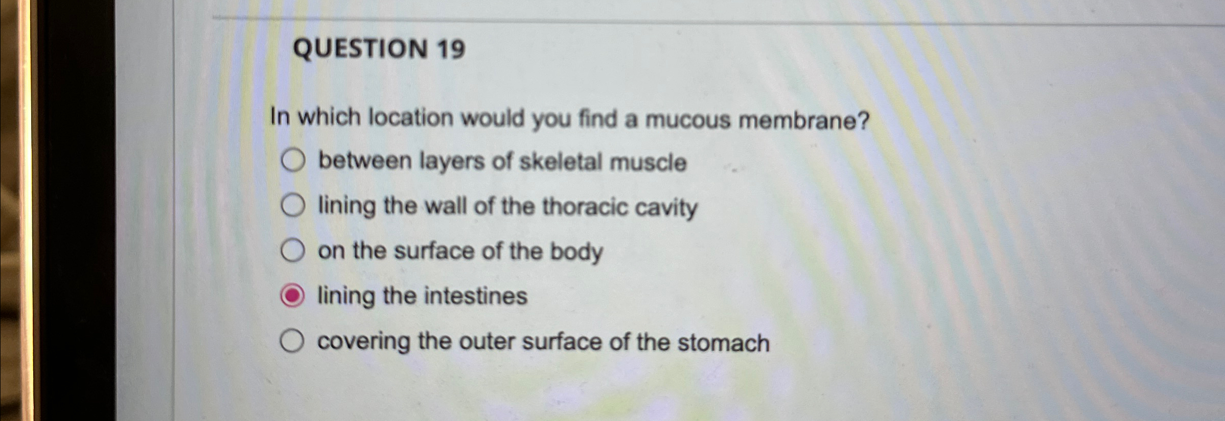 Solved QUESTION 19In which location would you find a mucous | Chegg.com