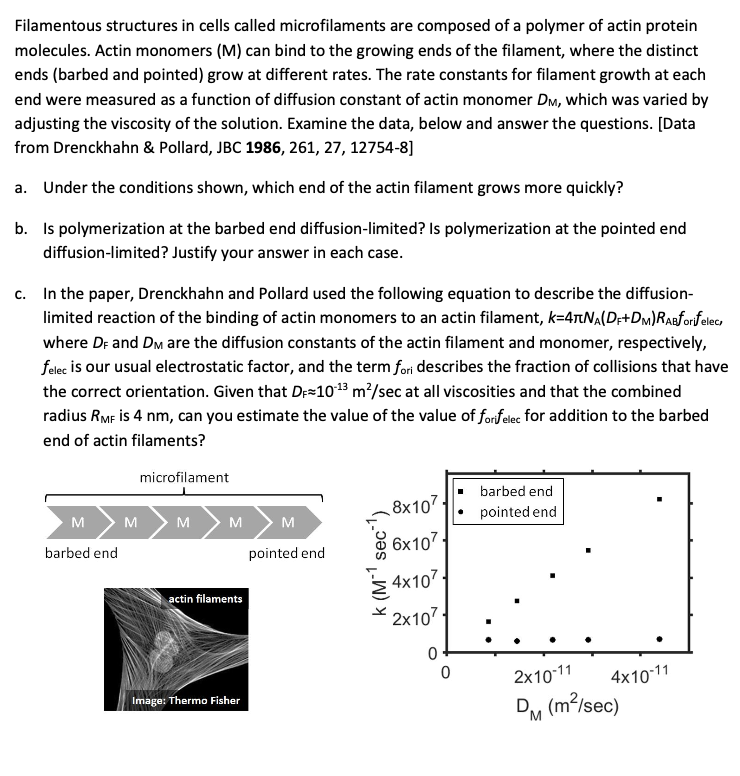 Filamentous structures in ﻿cells called | Chegg.com