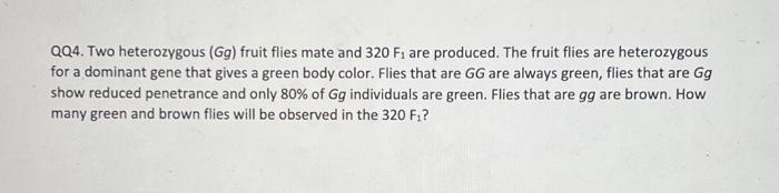 Solved Qq4 Two Heterozygous Gg Fruit Flies Mate And 320 9809