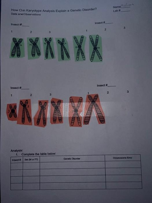 How Can Karyotype Analysis Explain a Genetic | Chegg.com