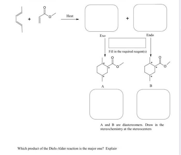 Solved what are both the endo and exo products of the diels | Chegg.com