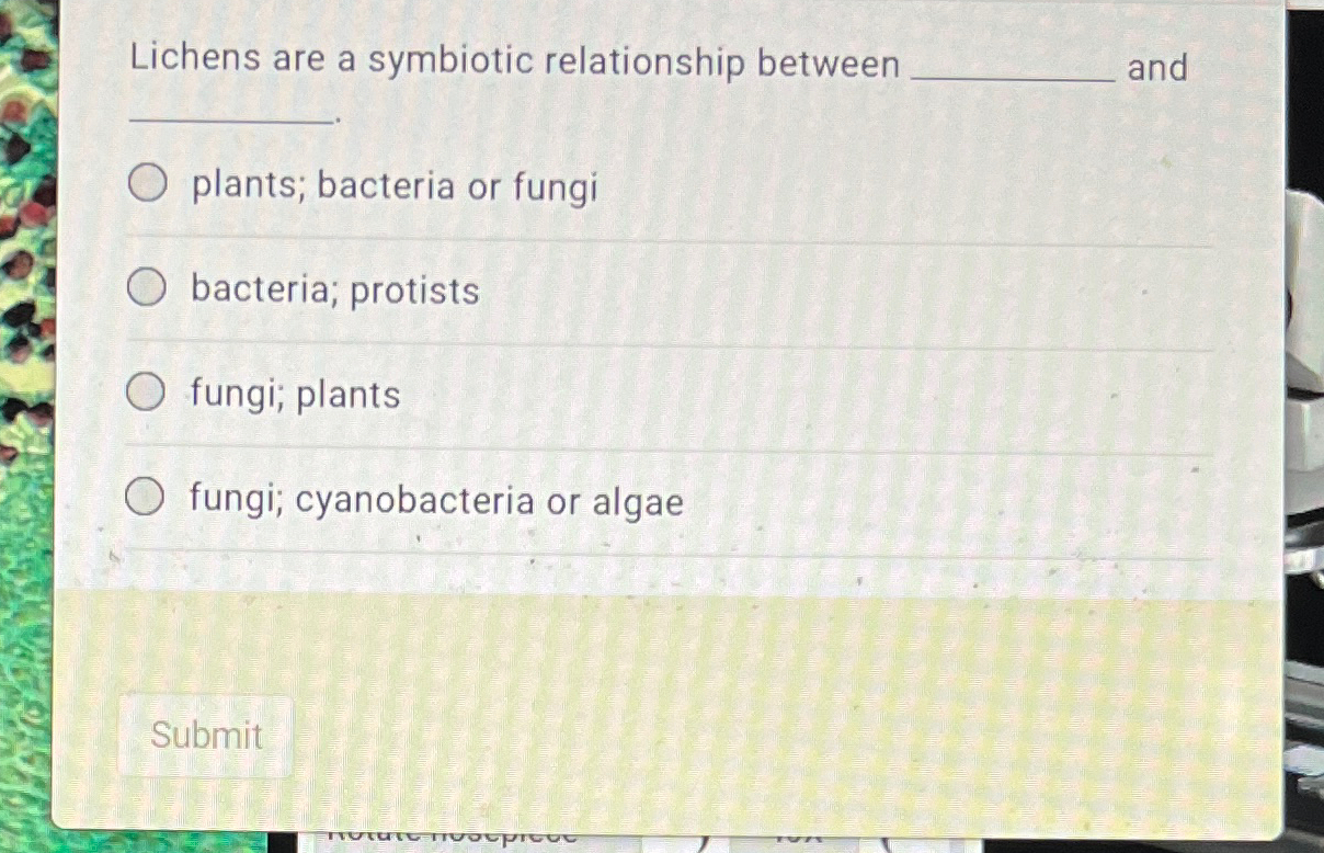 Solved Lichens are a symbiotic relationship between | Chegg.com