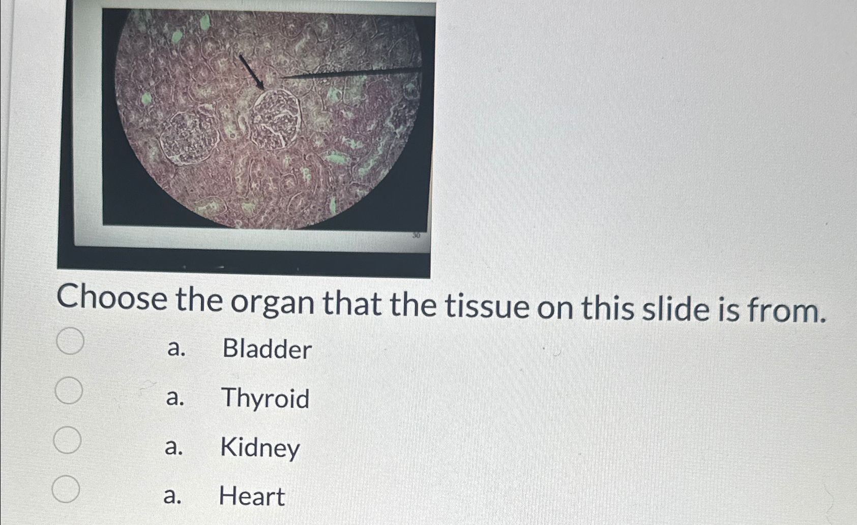 Solved Choose the organ that the tissue on this slide is | Chegg.com