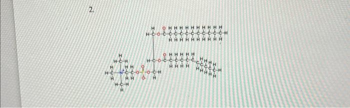 Solved identify and describe the molecule | Chegg.com
