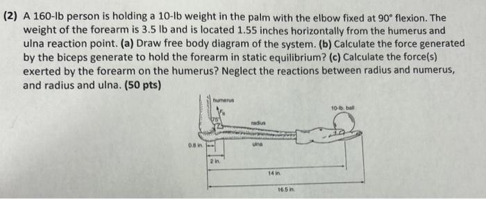 Solved (2) A 160−lb person is holding a 10−lb weight in the | Chegg.com