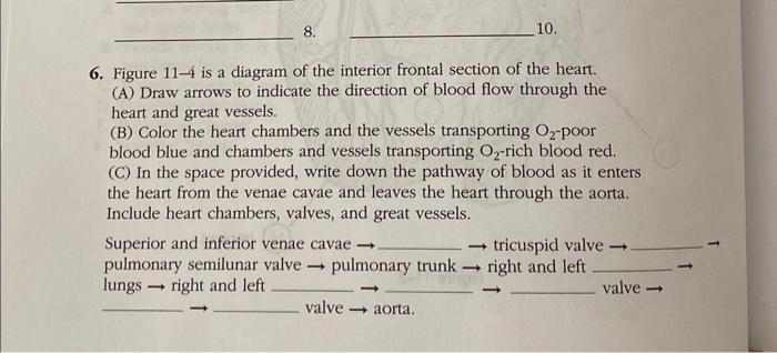 6. Figure 11−4 is a diagram of the interior frontal | Chegg.com