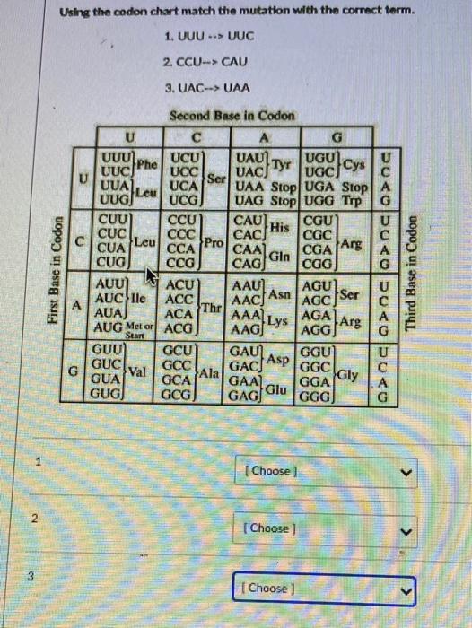 Solved Using the codon chart match the mutation with the | Chegg.com