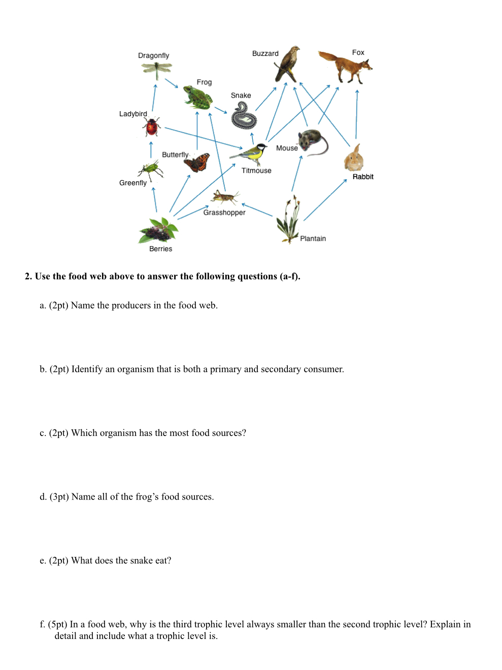 Solved Use the food web above to answer the following | Chegg.com