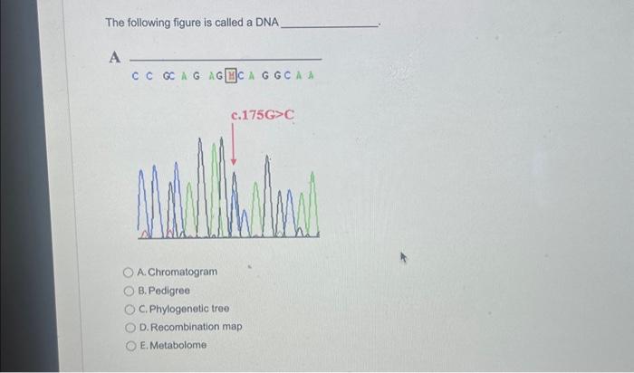 Solved The following figure is called a DNA A | Chegg.com