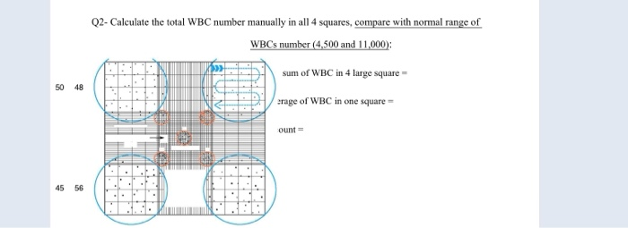 Solved Q2-Calculate the total WBC number manually in all 4 | Chegg.com