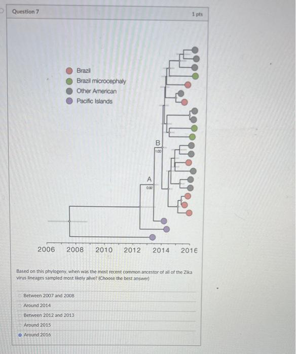 Solved Based on this phylogeny, when was the most recent | Chegg.com