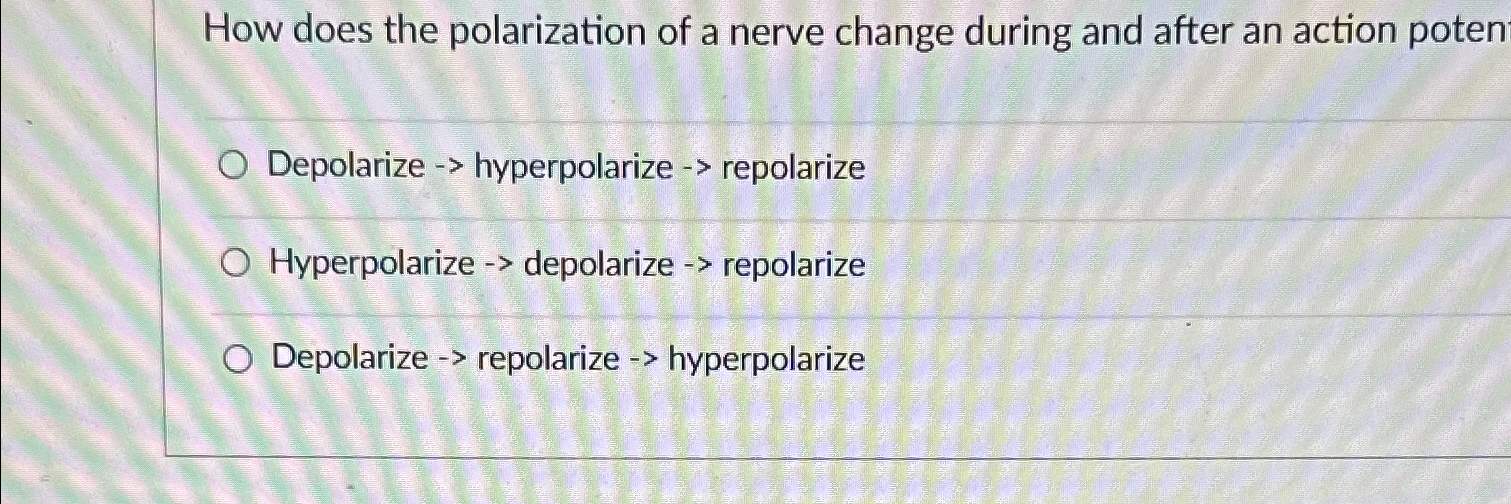 How does the polarization of a nerve change during | Chegg.com