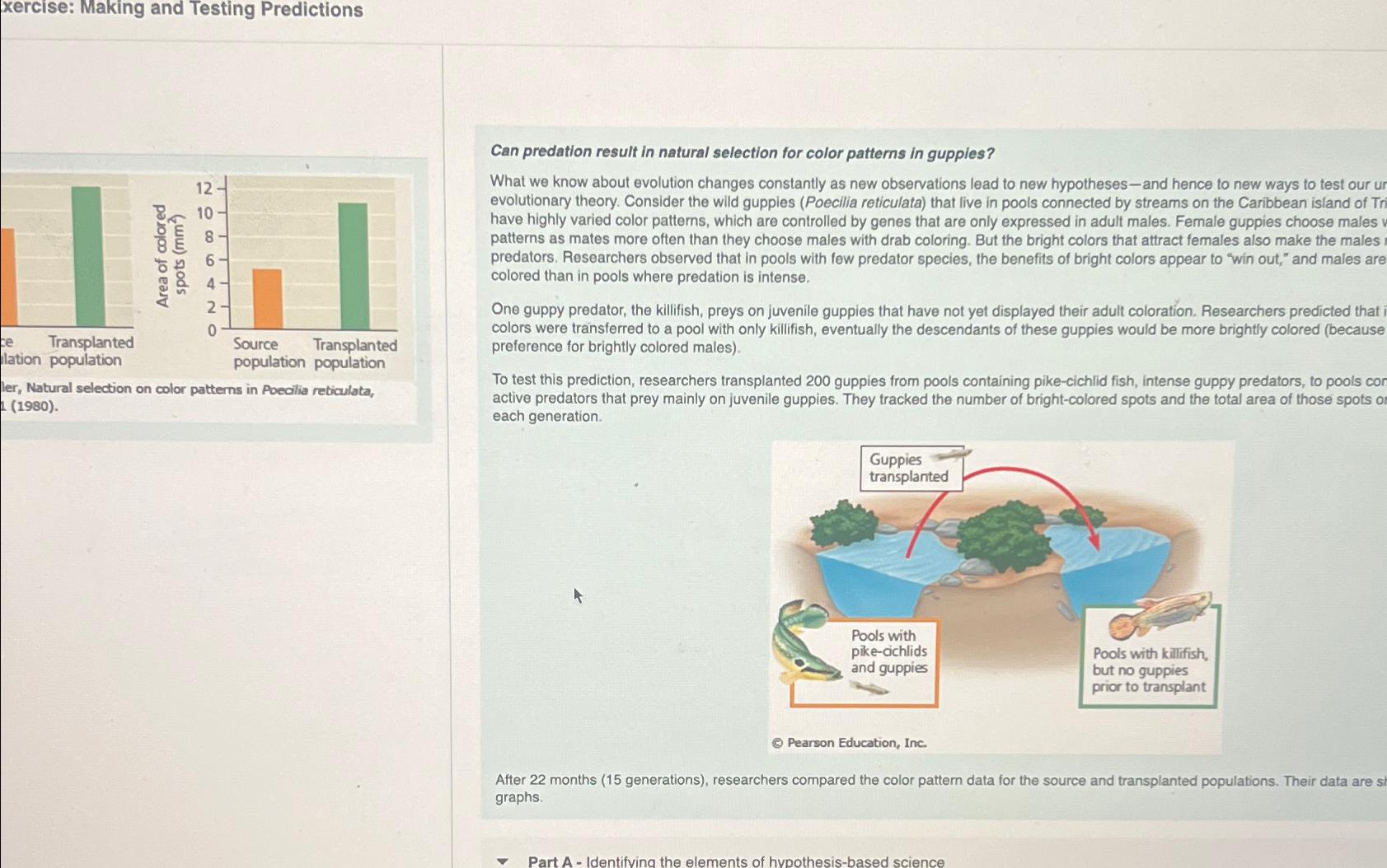 Solved xercise: Making and Testing Predictions\\nCan | Chegg.com